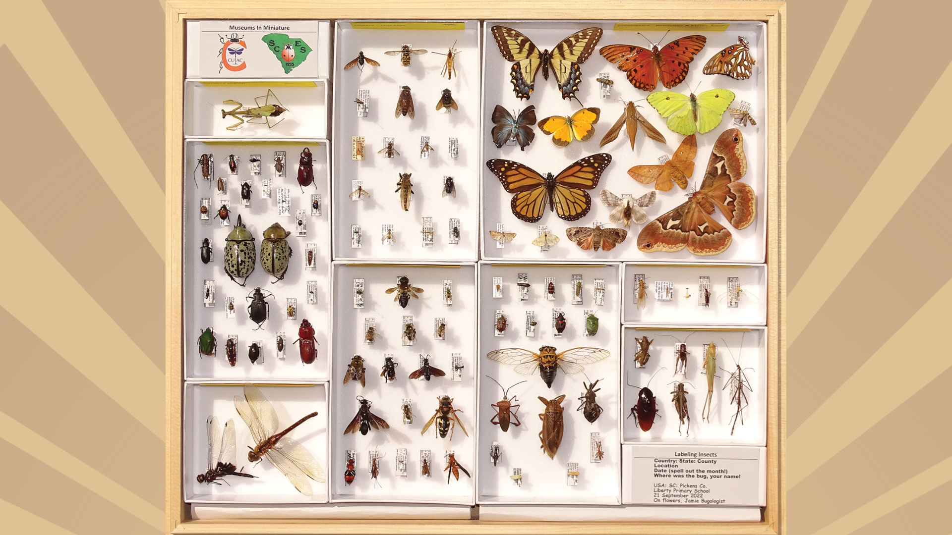 MBMG 141904 (1) | Blog